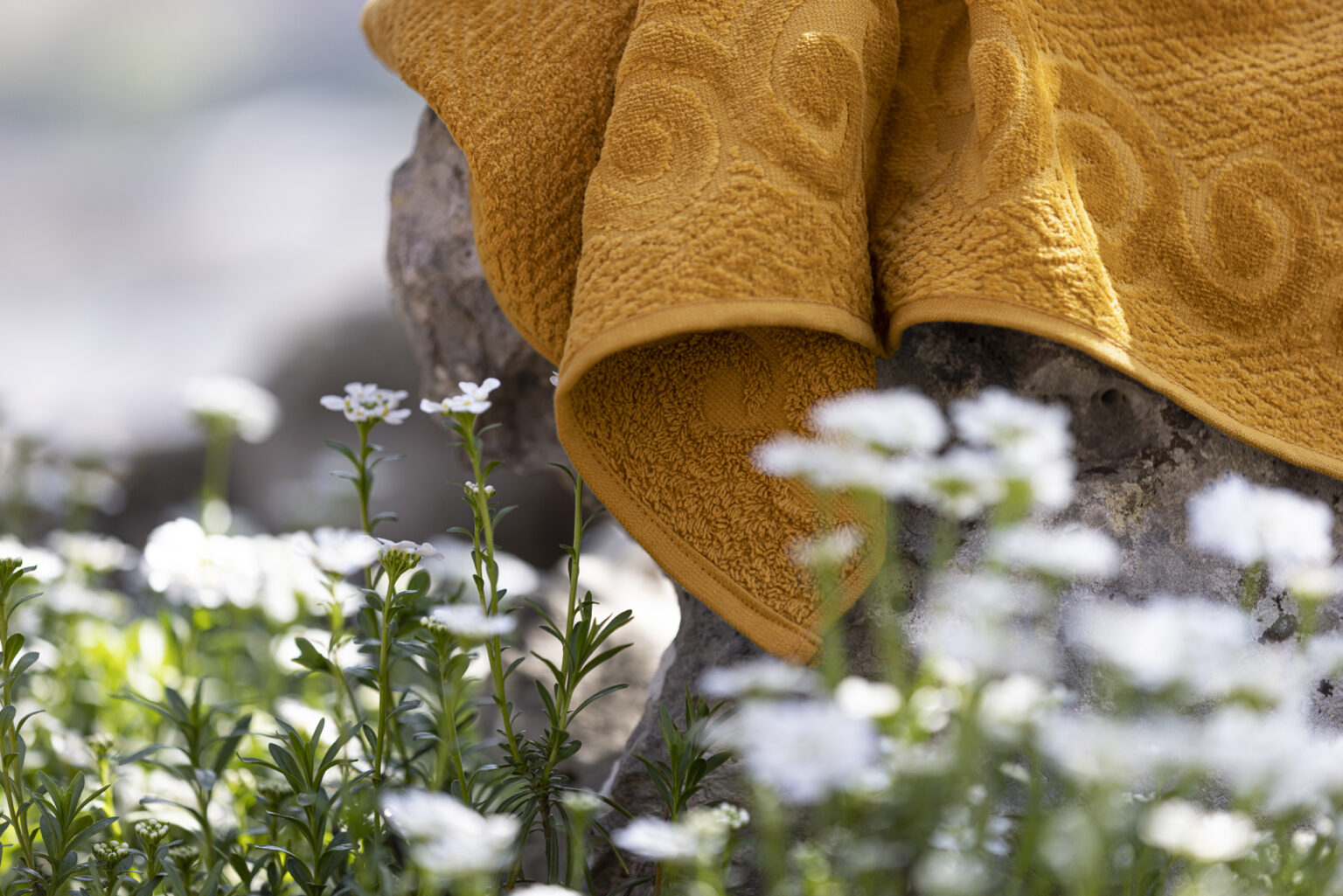 La spugna di qualità? È made in Italy! | Almatex Srl